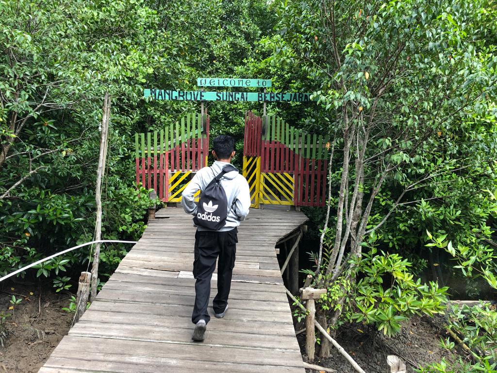 Eksotisnya Hutan Mangrove Sungai Bersejarah di Kayu Ara Permai ...